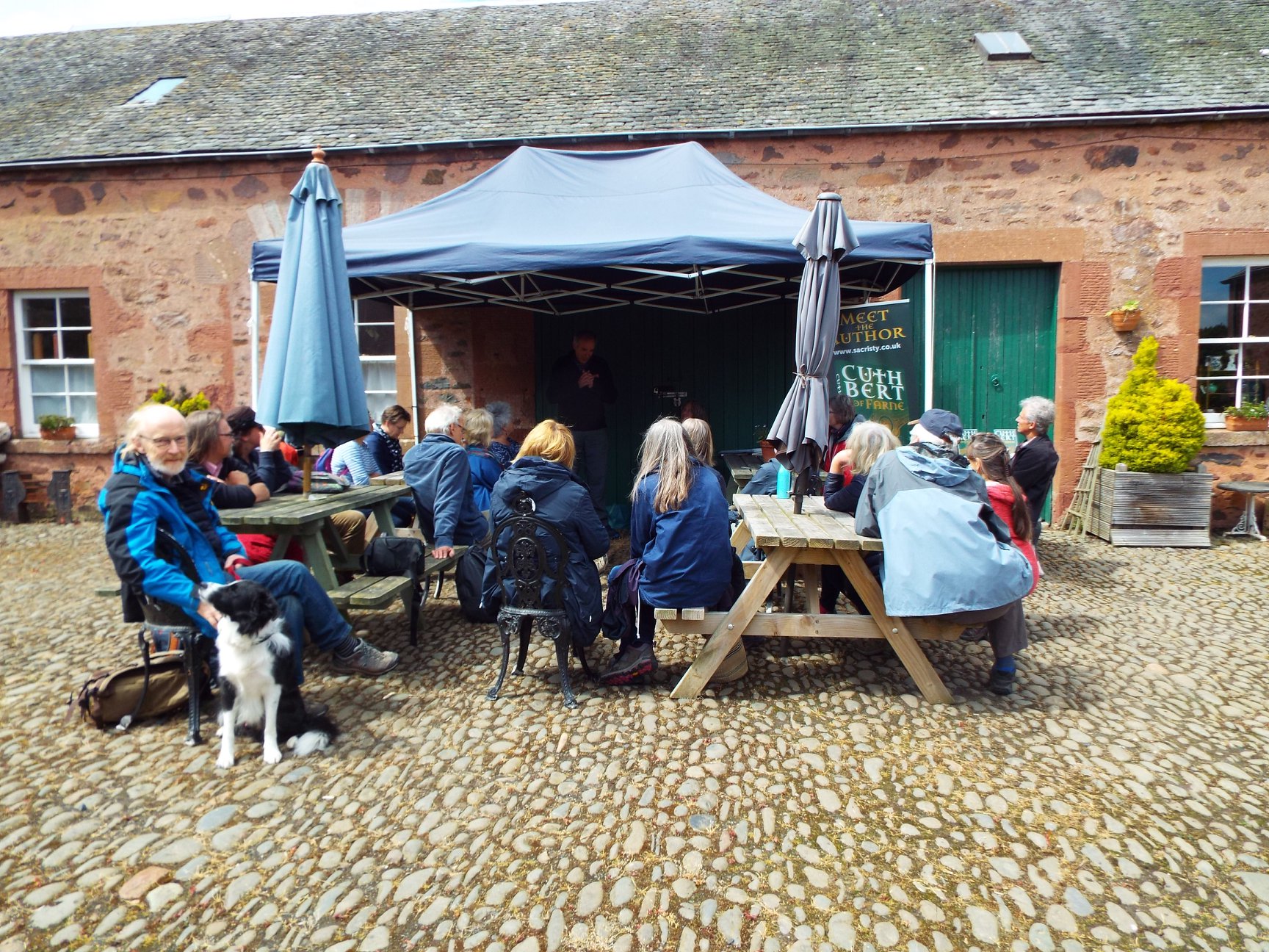 Old Melrose Walk and Talk event - Katharine Tiernan